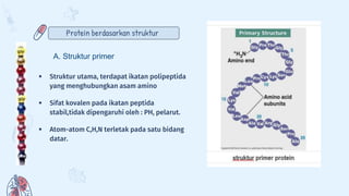 KIMIA_Protein_Cici Awarti_1A.pptx