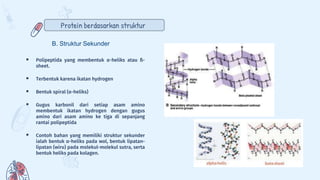 KIMIA_Protein_Cici Awarti_1A.pptx