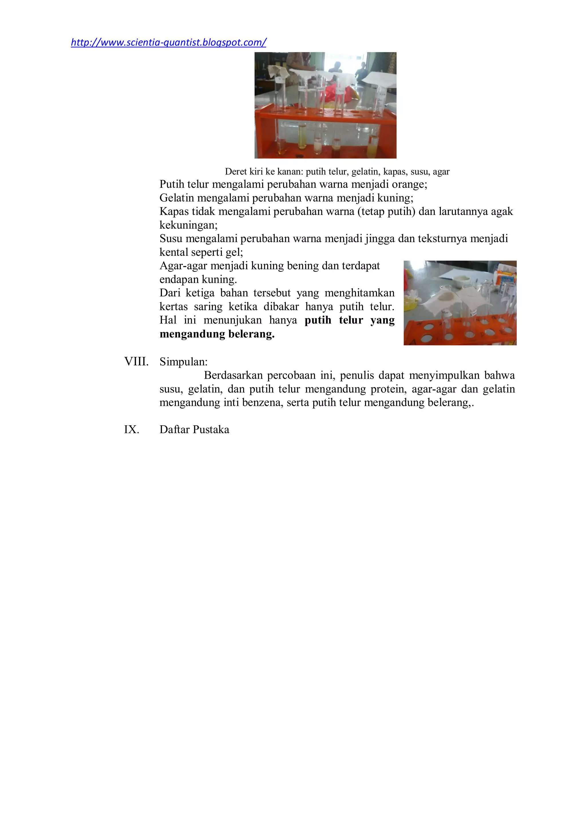 Laporan Praktikum Kimia_uji protein | PDF