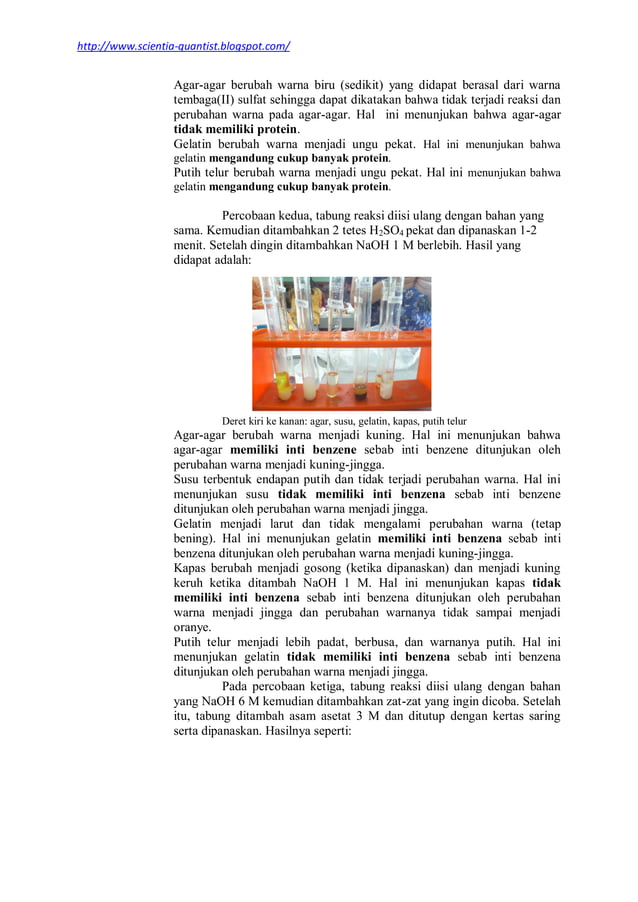 Laporan Praktikum Kimia_uji protein | PDF