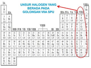 unsur unsur halogen | PPTX