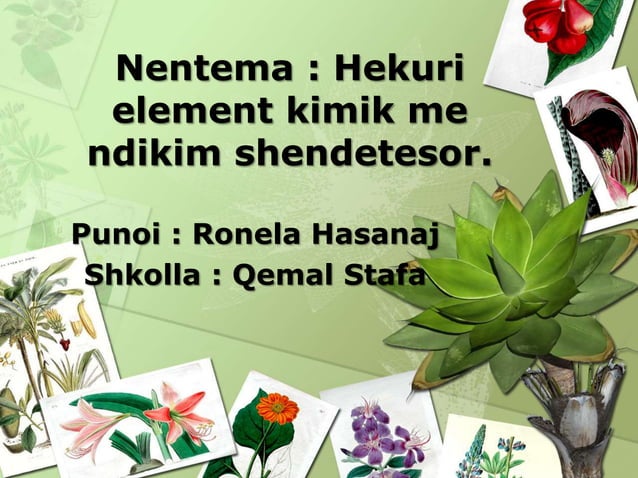 Hekuri element kimik me ndikim shendetesor. | PPTX