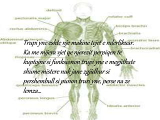 roli i elementeve kimike ne organizmin e njeriut | PPTX