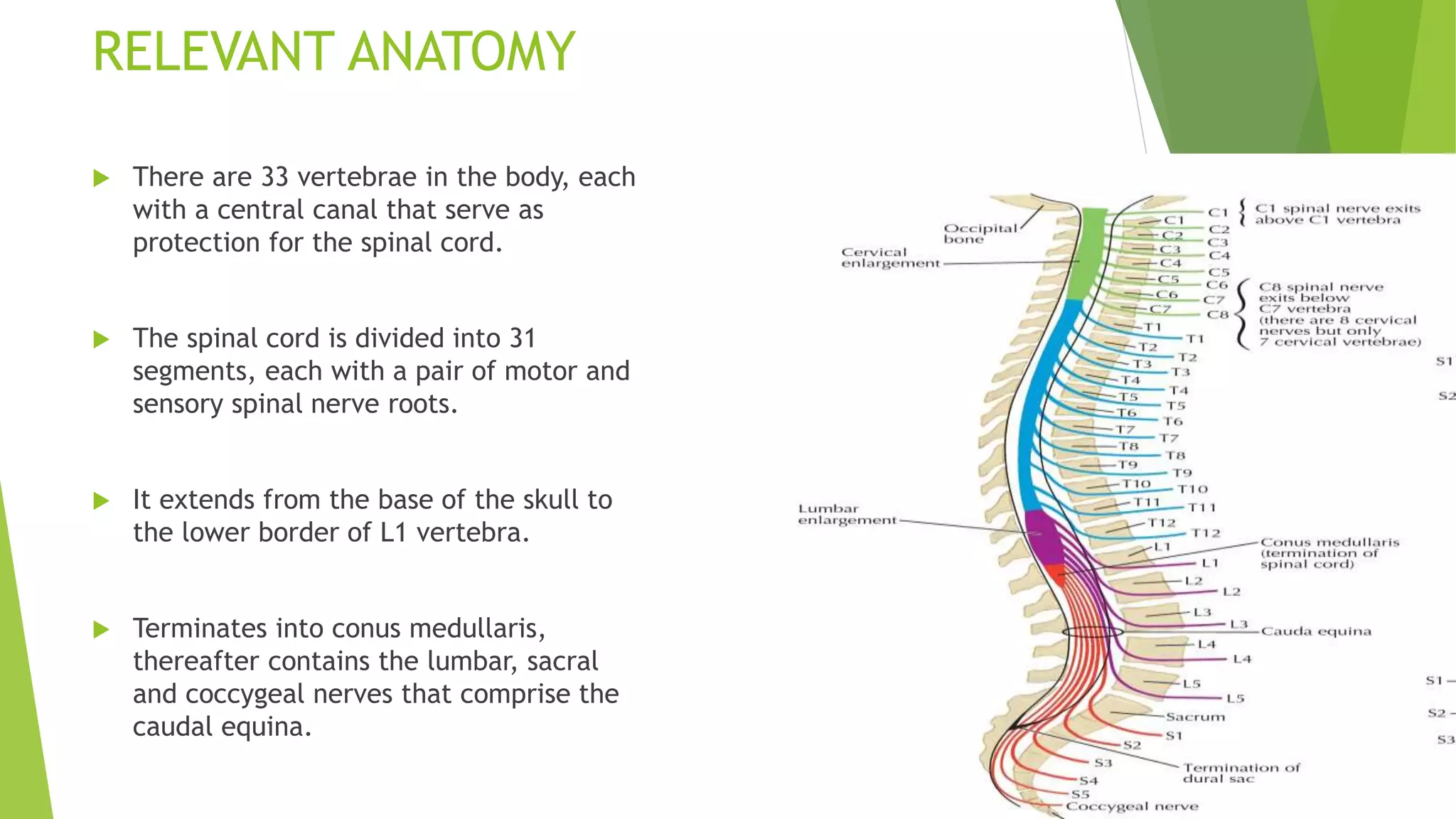 MANAGEMENT OF ACUTE SPINAL CORD INJURY. | PPTX