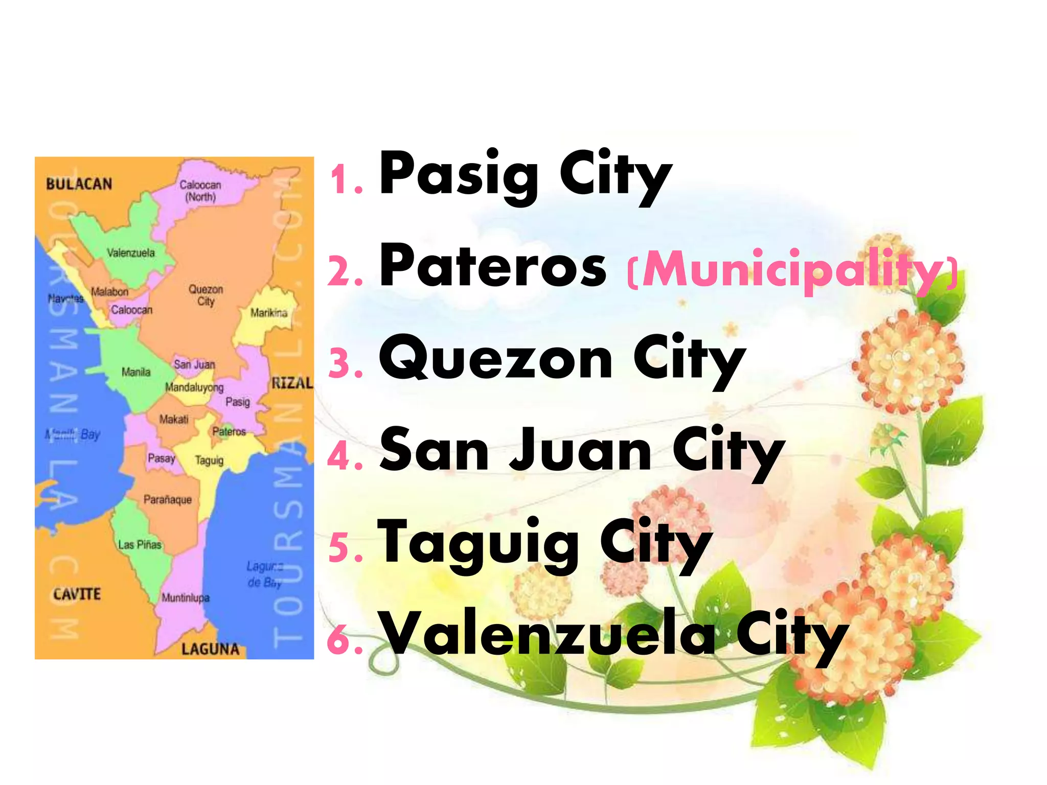 Philippines NCR Geography | PPTX