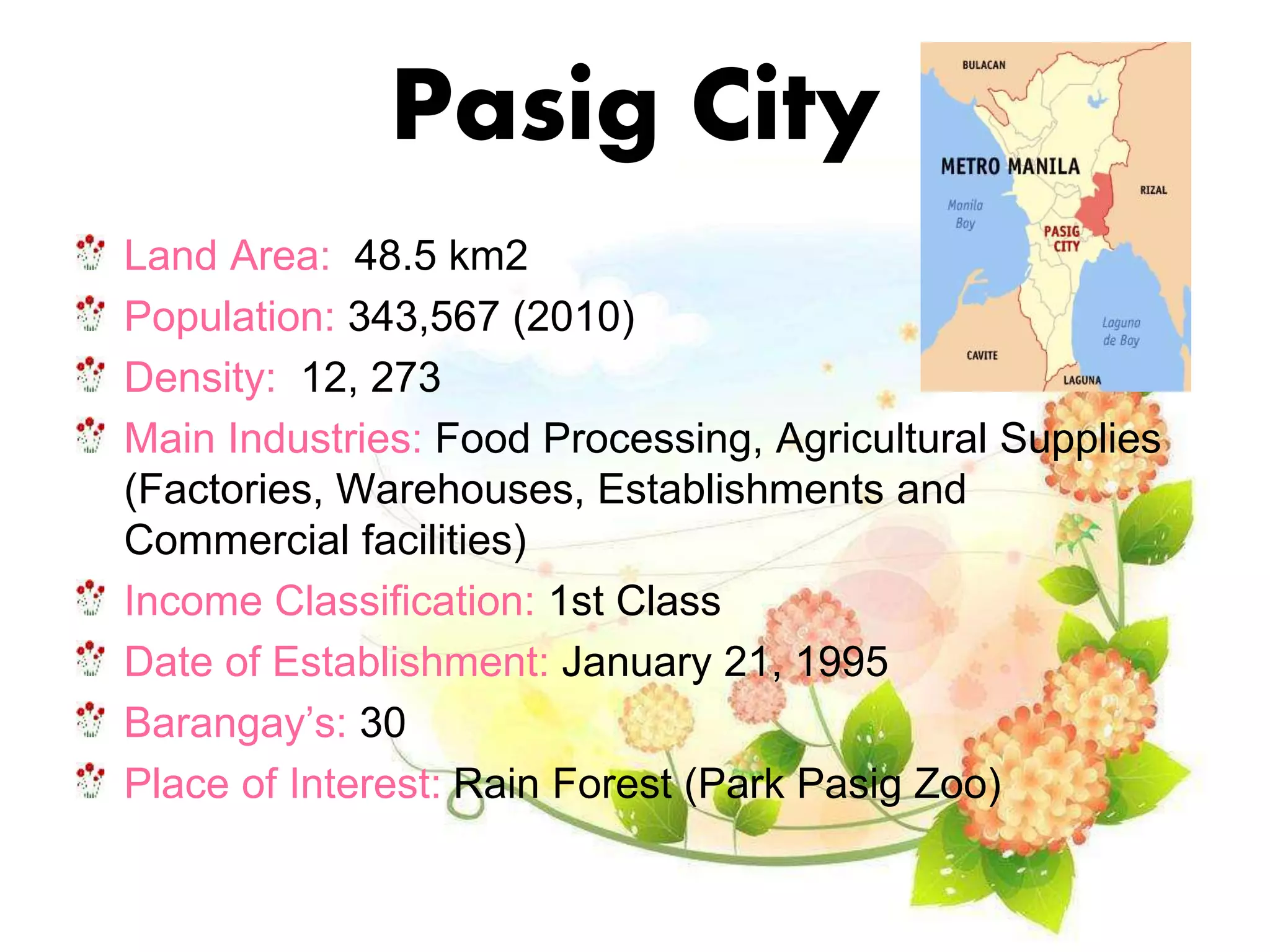 Philippines NCR Geography | PPTX