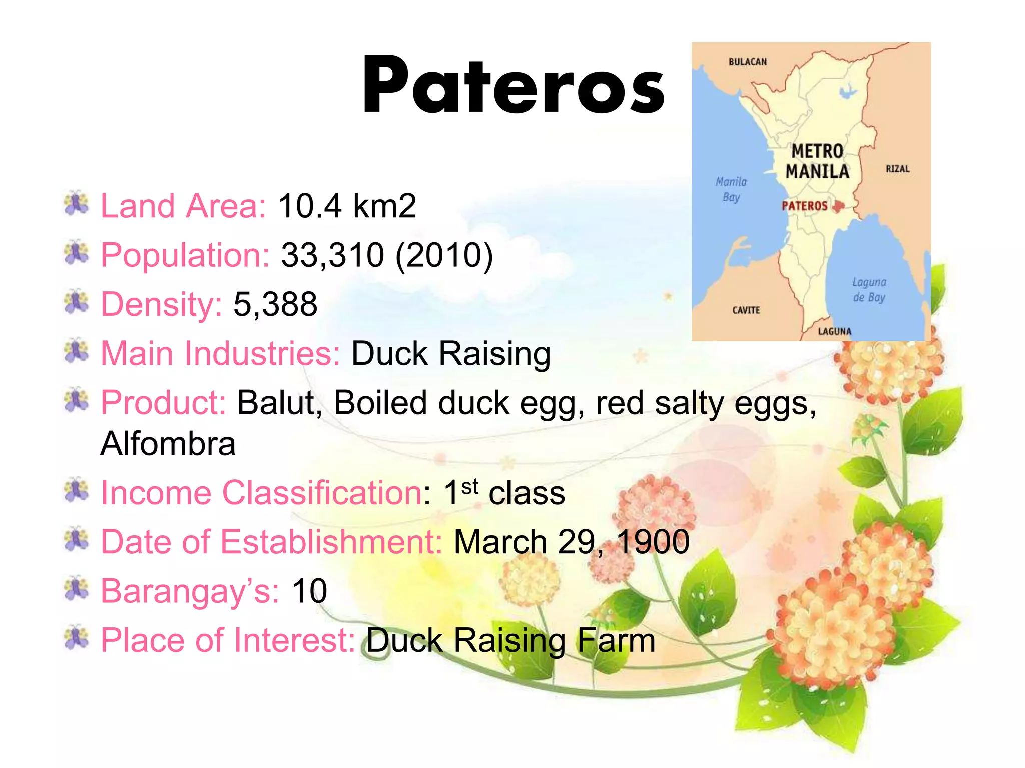 Philippines NCR Geography | PPTX