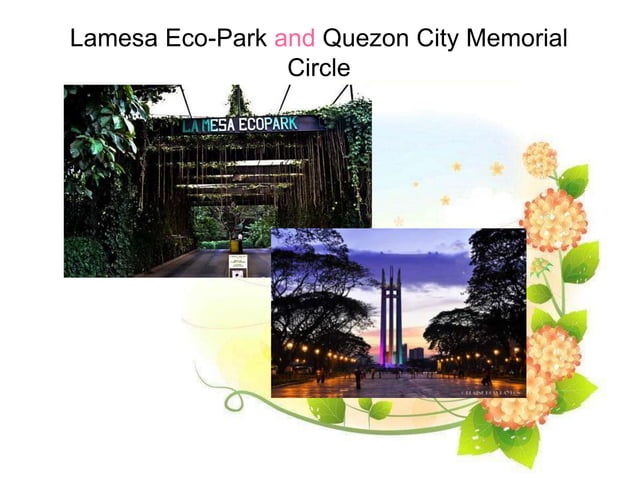 Philippines NCR Geography | PPTX