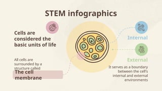 kimok-science-doodles-style-infographics-daily-learning-stem.pptx