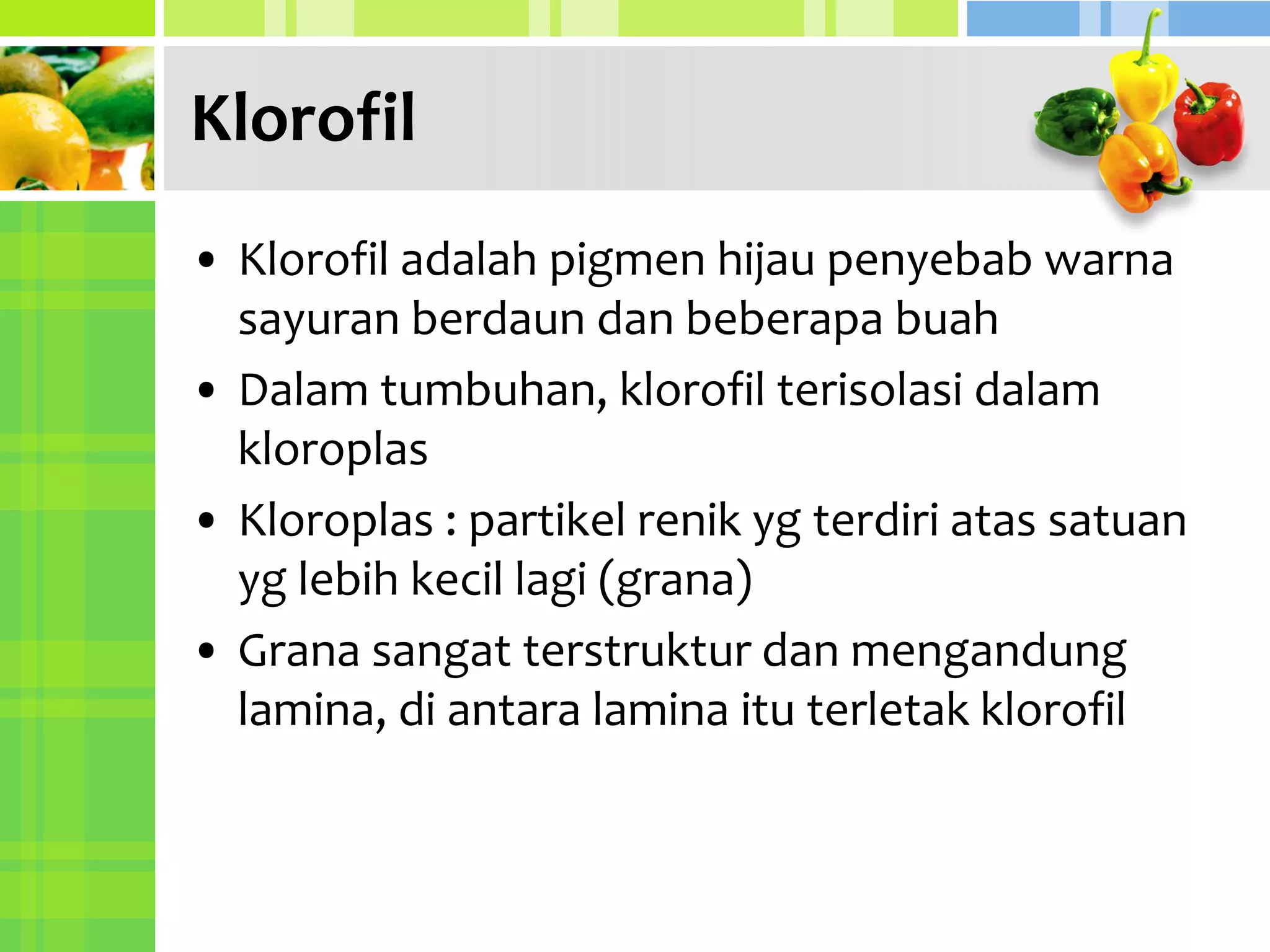 Kimpang meet 9_pigmen | PDF