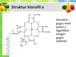 Kimpang meet 9_pigmen | PDF