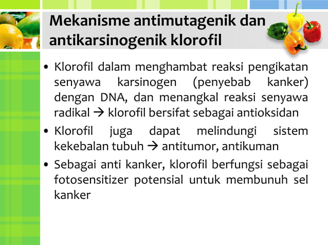 Kimpang meet 9_pigmen | PDF