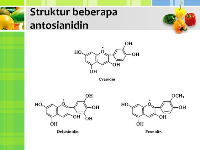 Kimpang meet 9_pigmen | PDF