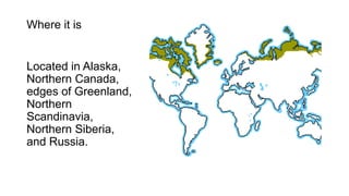 Kim Santos Biomes Project Science 10.pptx