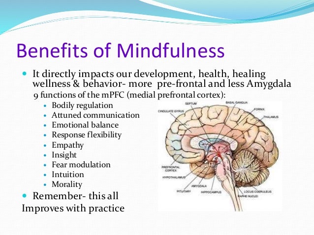 Kim's stress managment presentation