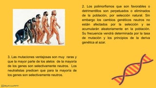 Teoría Neutralista | PPTX