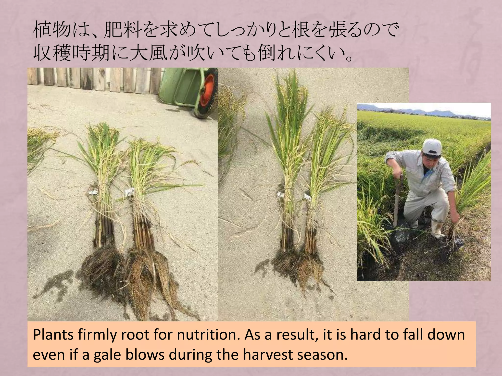 Kimura Method | PPTX