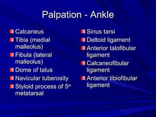 Kin 188 Foot, Ankle And Leg Injuries | PPT