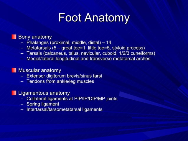 Kin 188 Foot, Ankle And Leg Injuries | PPT | Death, Injury, or Military ...