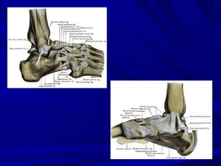 Kin 188 Foot, Ankle And Leg Injuries | PPT