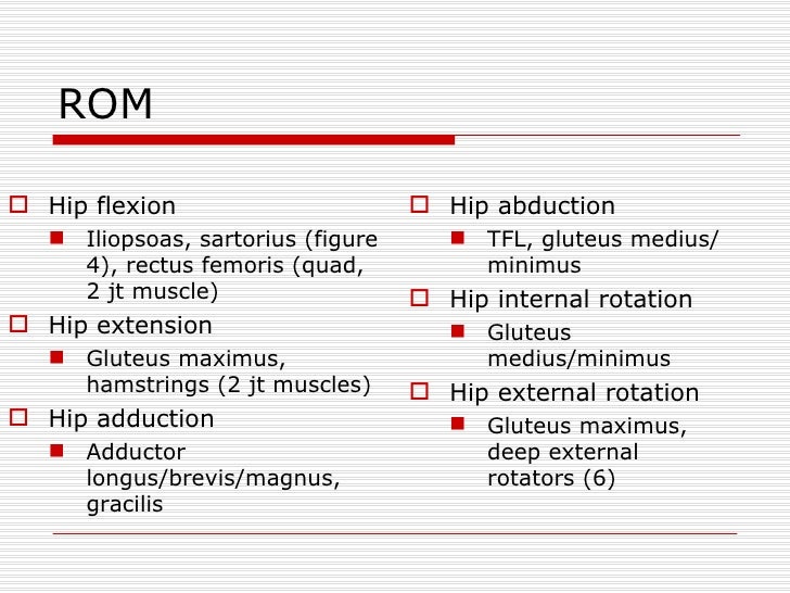 Kin 188 Hip And Thigh Evaluation And Injuries