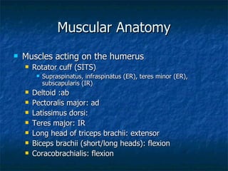Kin 188 Shoulder Evaluation And Injuries | PPT