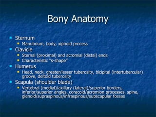 Kin 188 Shoulder Evaluation And Injuries | PPT