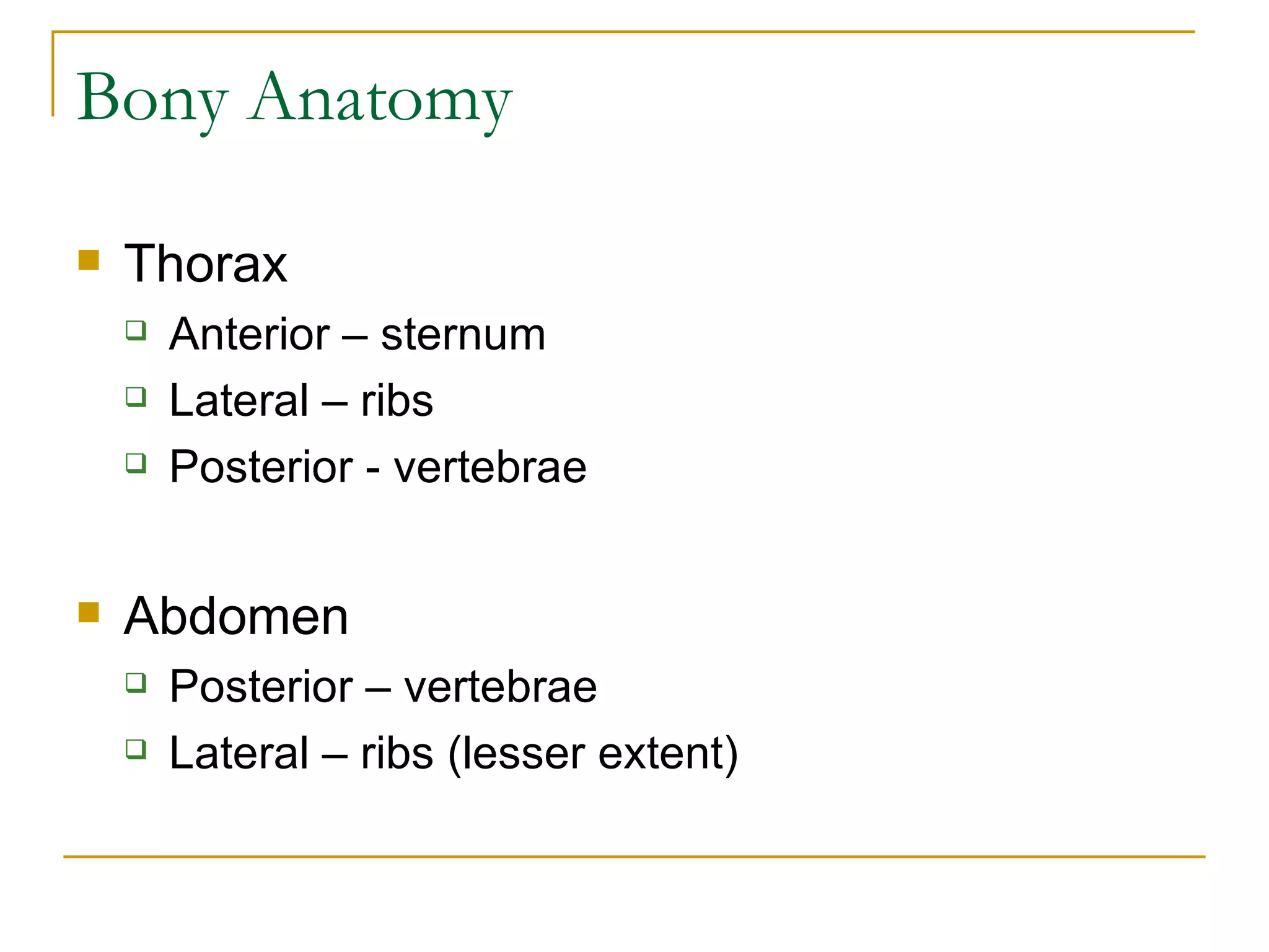 Kin 188 Thoracic And Abdominal Evaluation And Injuries | PPT