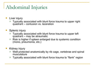 Kin 188 Thoracic And Abdominal Evaluation And Injuries | PPT