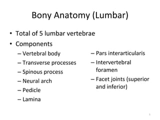 Kin191 A.Ch.10. Lumbar. Thoracic. Anatomy | PPT