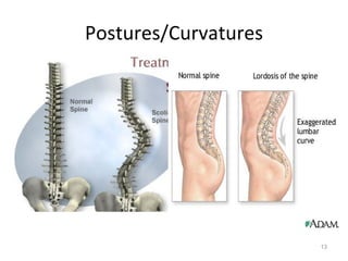 Kin191 A.Ch.10. Lumbar. Thoracic. Evaluation | PPT