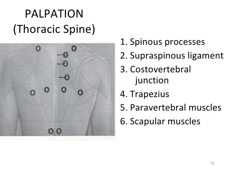 Kin191 A.Ch.10. Lumbar. Thoracic. Evaluation