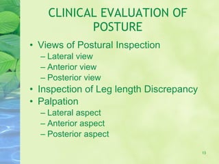 Kin191 A. Ch.3. Assessment Of Posture. Fall 2007 | PPT