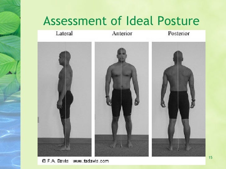 Kin191 A. Ch.3. Assessment Of Posture. Fall 2007