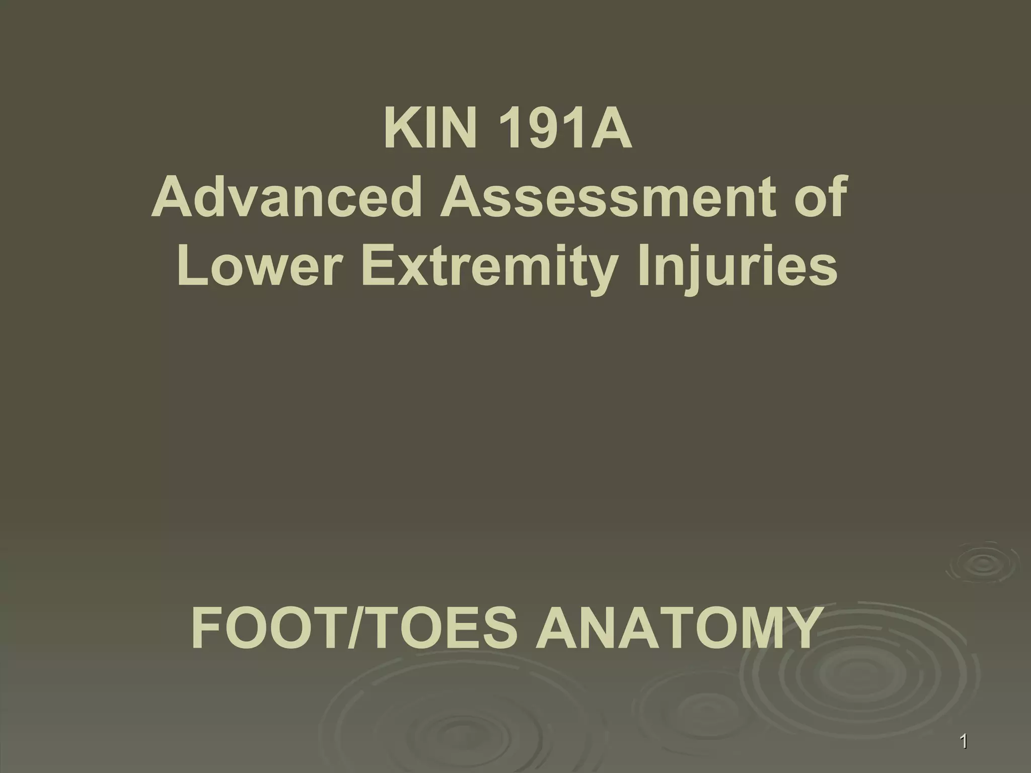 Kin191 A. Ch.4. Foot. Toes. Anatomy. Fall 2007 | PPT