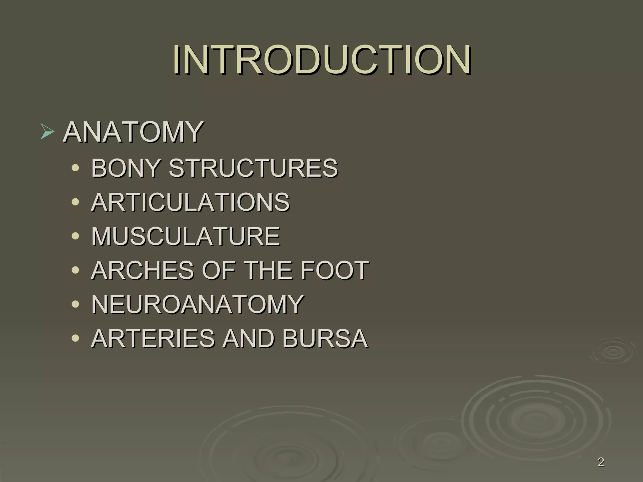 Kin191 A. Ch.4. Foot. Toes. Anatomy. Fall 2007 | PPT
