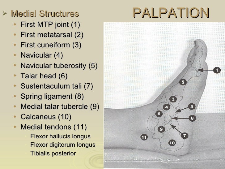 Kin191 A. Ch.4. Foot. Toes. Evaluation. Fall 2007