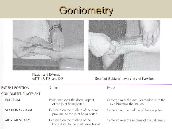 Kin191 A. Ch.4. Foot. Toes. Evaluation. Fall 2007