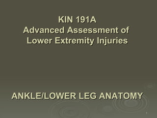Kin191 A. Ch.5. Ankle. Lower Leg. Anatomy. Fall 2007 | PPT