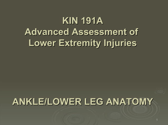 Kin191 A. Ch.5. Ankle. Lower Leg. Anatomy. Fall 2007 | PPT