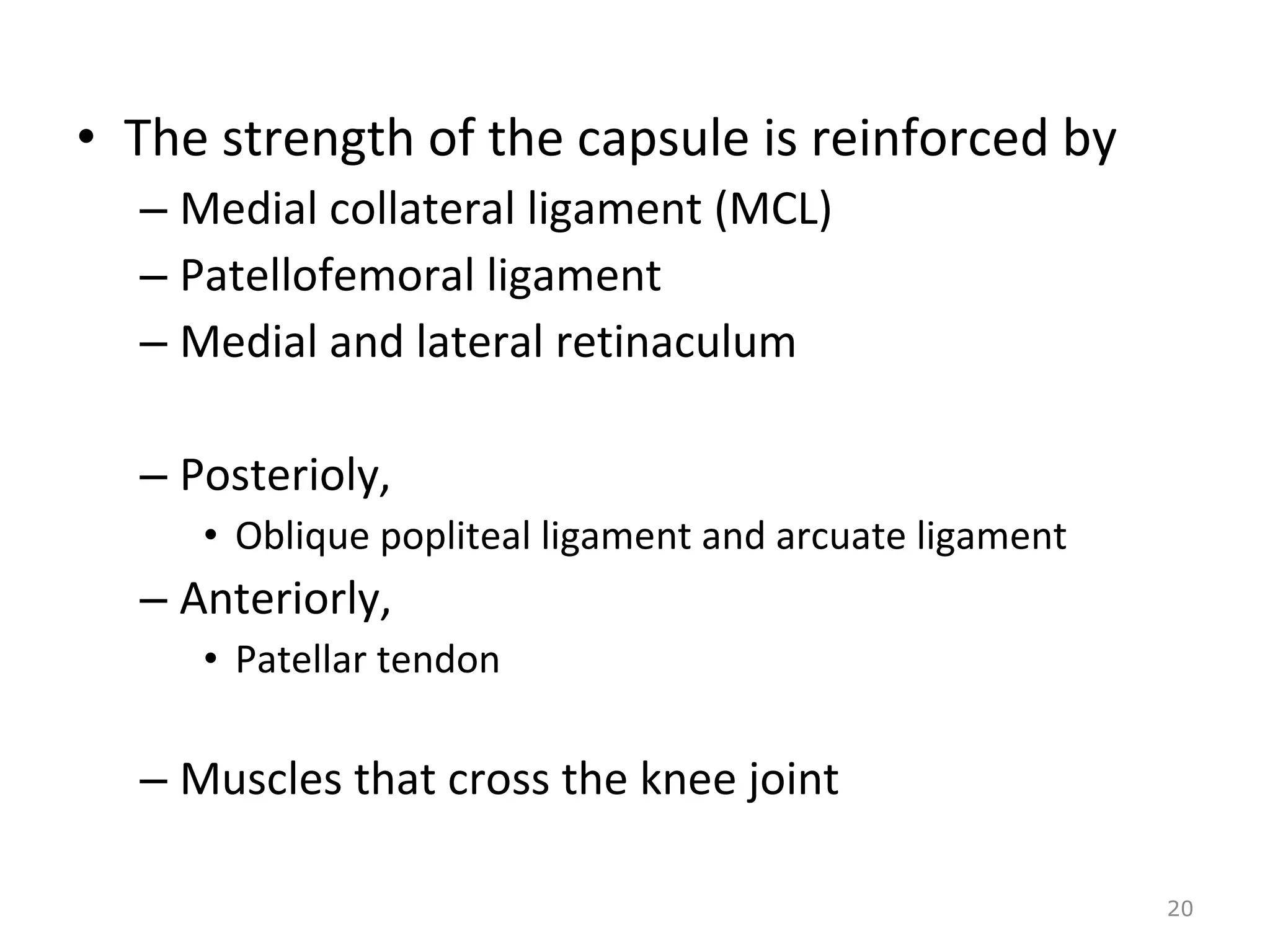 Kin191 A.Ch.6.Knee.Patellofemoral.Anatomy | PPT