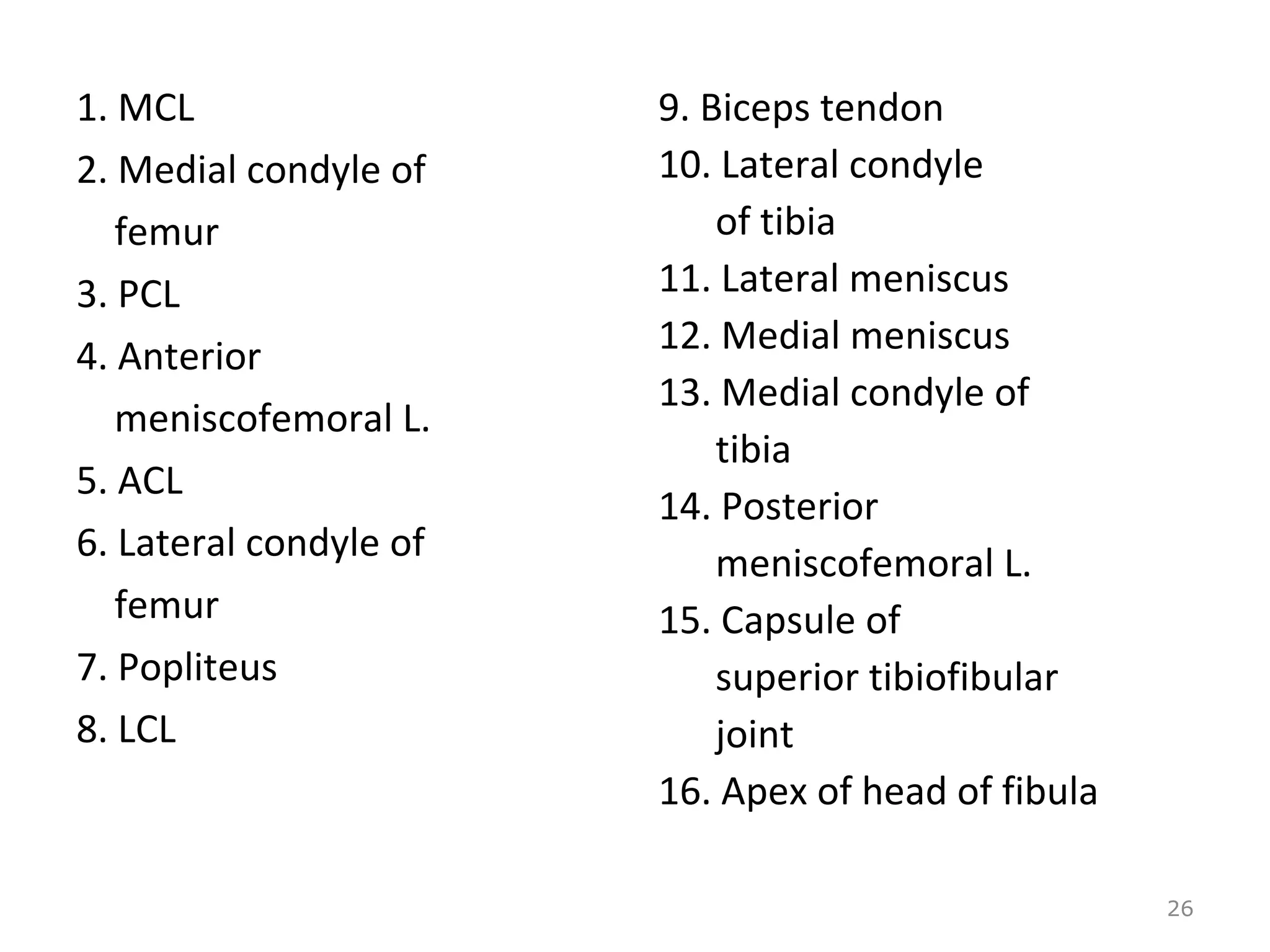 Kin191 A.Ch.6.Knee.Patellofemoral.Anatomy | PPT