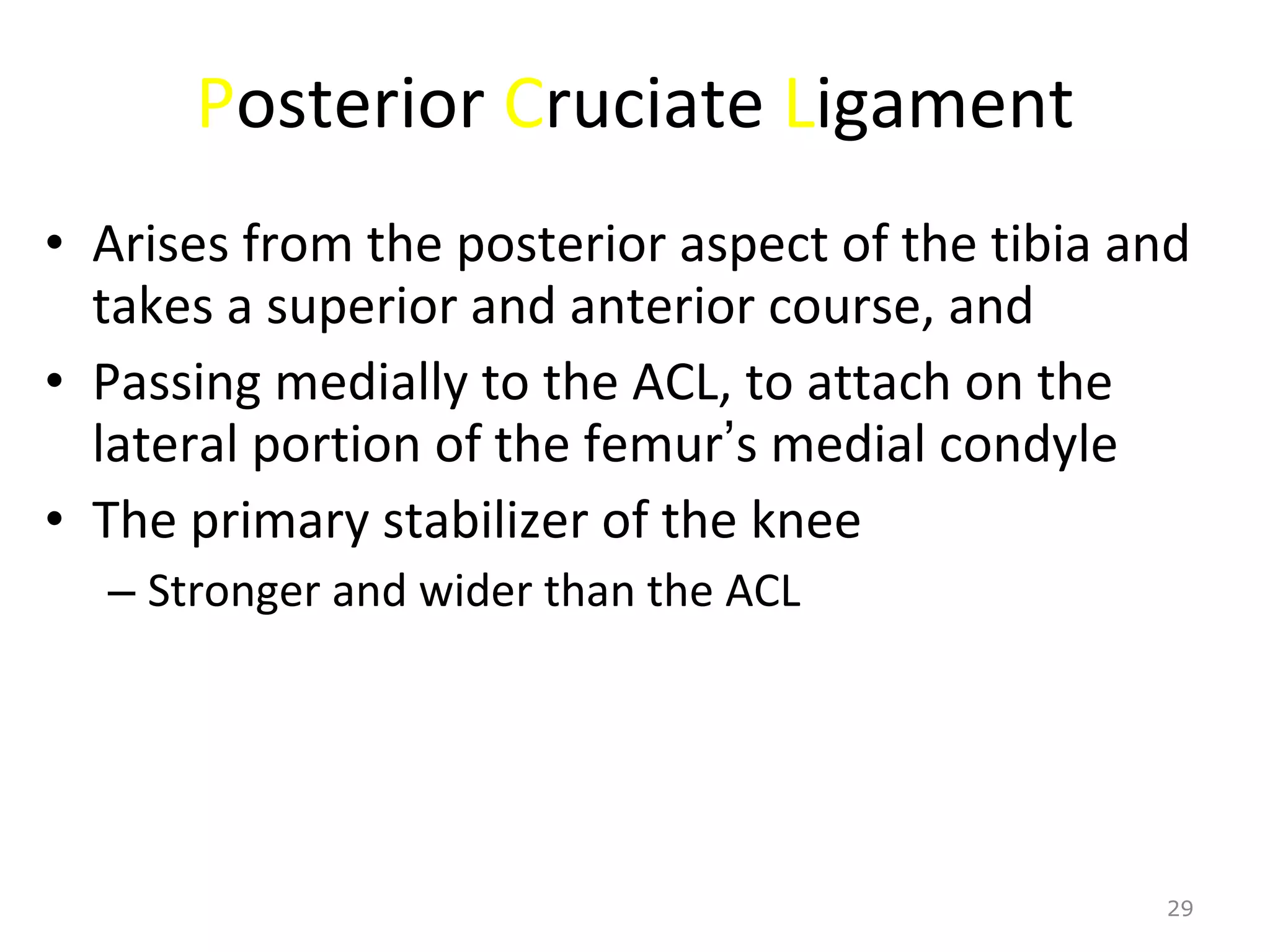 Kin191 A.Ch.6.Knee.Patellofemoral.Anatomy | PPT