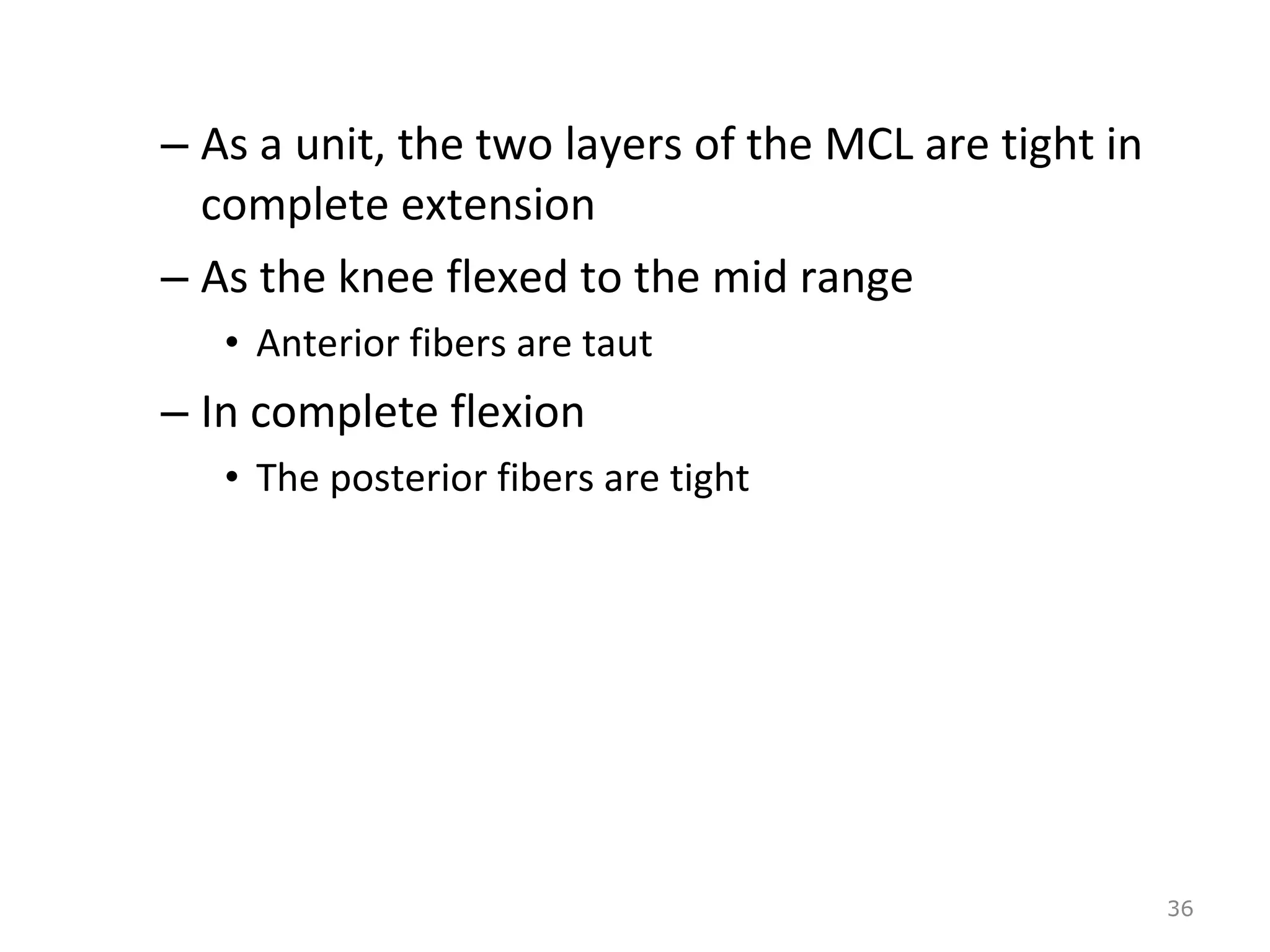Kin191 A.Ch.6.Knee.Patellofemoral.Anatomy | PPT
