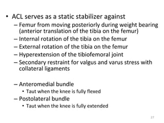 Kin191 A.Ch.6.Knee.Patellofemoral.Anatomy | PPT