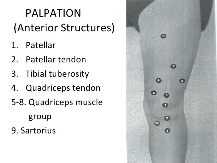 Kin191 A.Ch.6.Knee.Patellofemoral.Evaluation