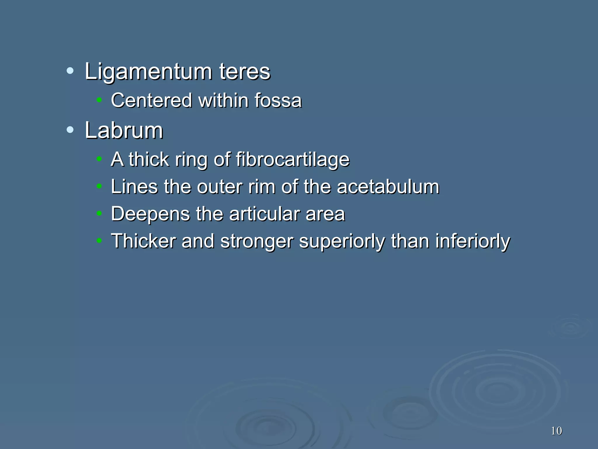 Kin191 A. Ch.8. Pelvis. Thigh. Anatomy | PPT