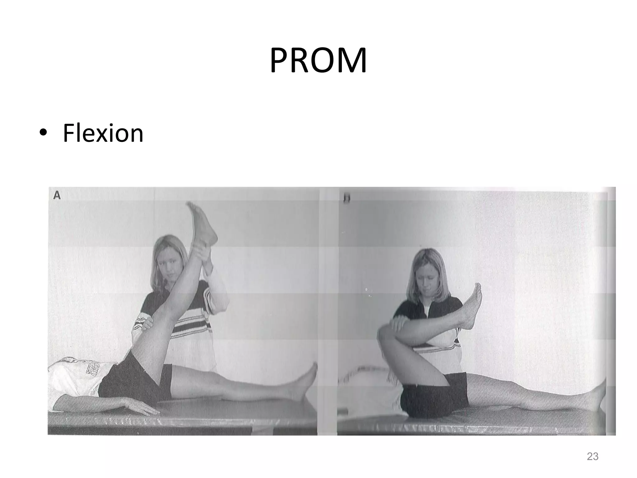 Kin191 A.Ch.8. Pelvis. Thigh. Evaluation | PPT