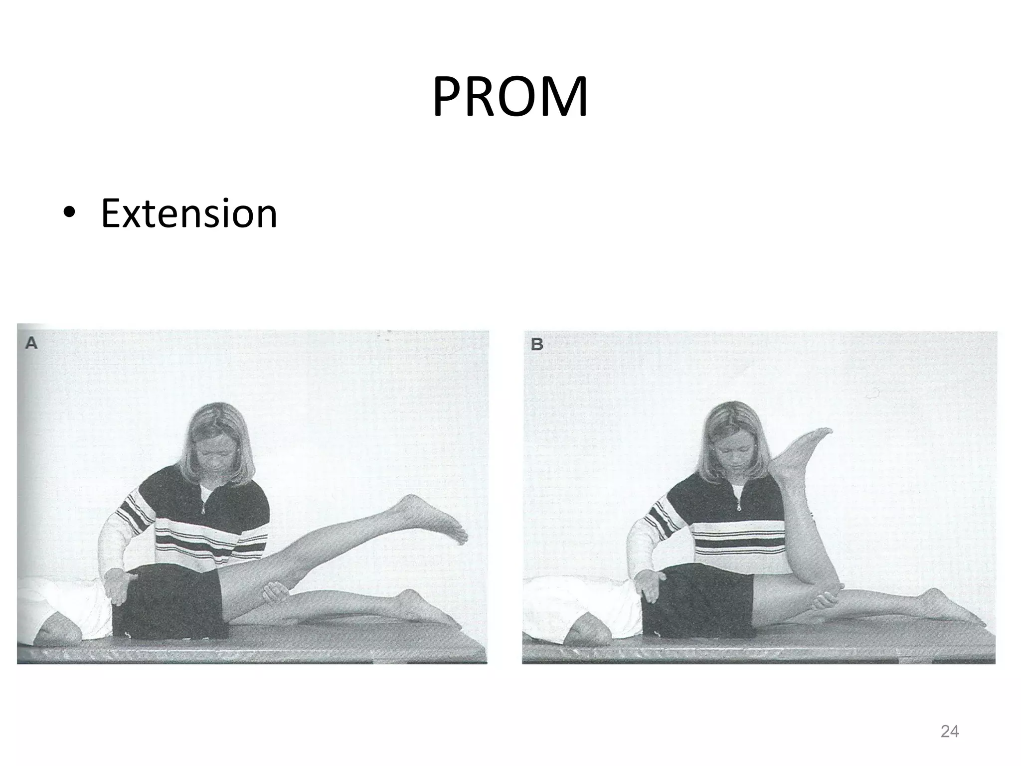 Kin191 A.Ch.8. Pelvis. Thigh. Evaluation | PPT