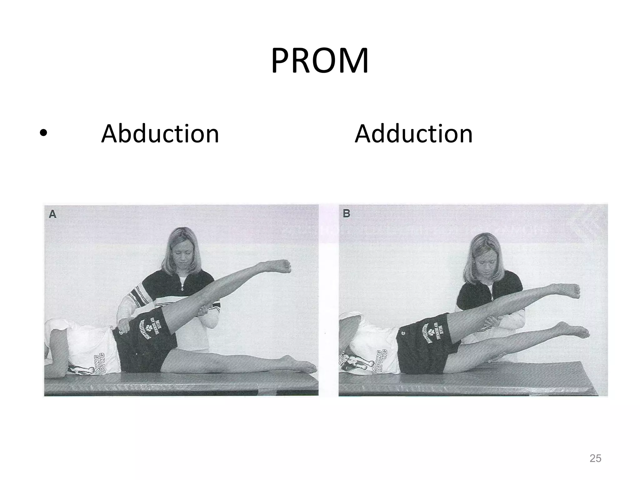 Kin191 A.Ch.8. Pelvis. Thigh. Evaluation | PPT